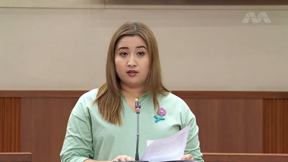 Nadia Ahmad Samdin on State Lands Protection Bill - CNA