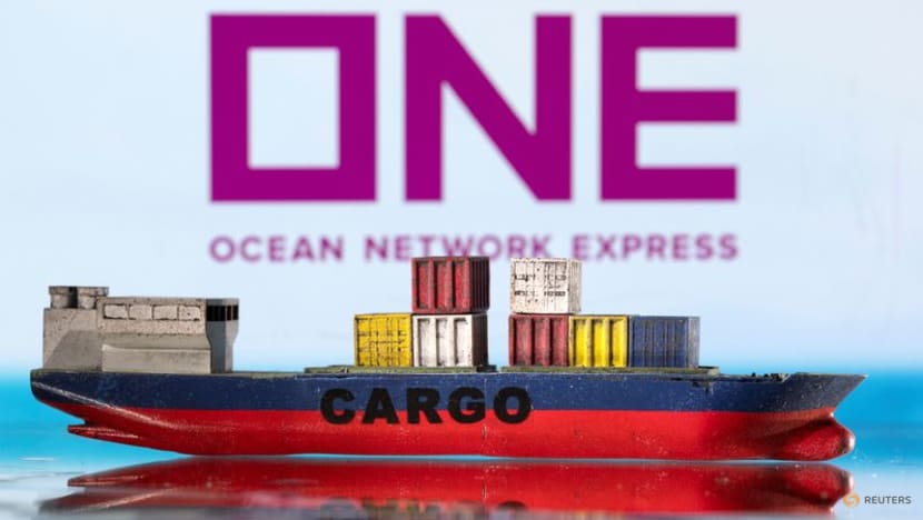 Ocean Network Express to reroute vessels away from Suez Canal and Red ...
