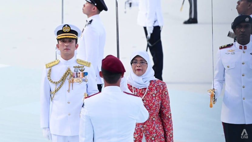 Singapore shines its light on the future with NDP 2023 - CNA