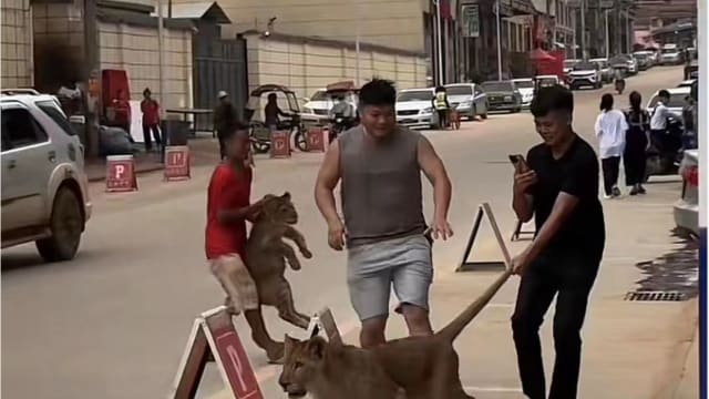 诈骗数额越高 缅北电诈园区燃放烟花越响 - 8world