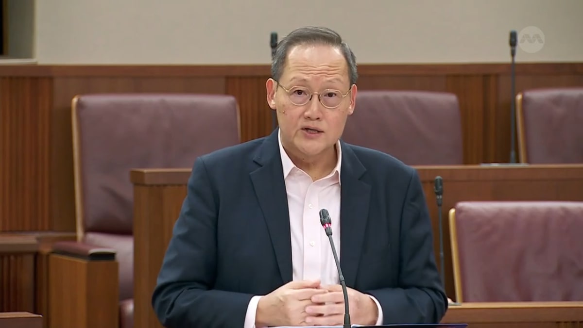 Tan See Leng on Singapore’s COVID-19 response - CNA