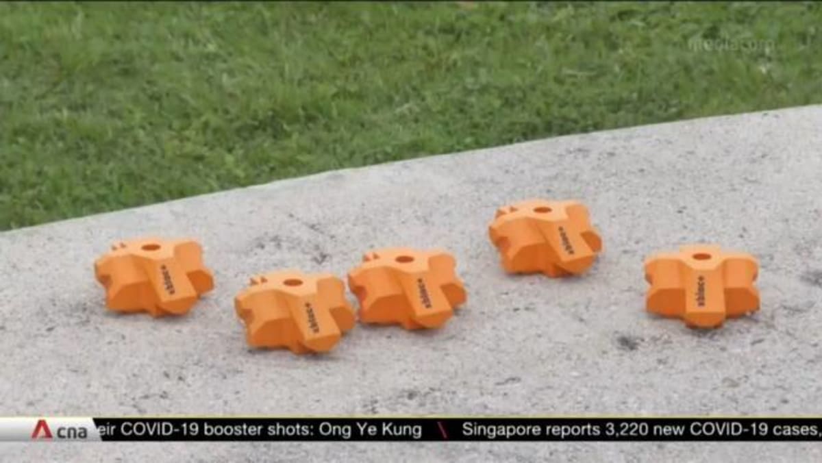 Singapore studying feasibility of modular coastal protection system ...