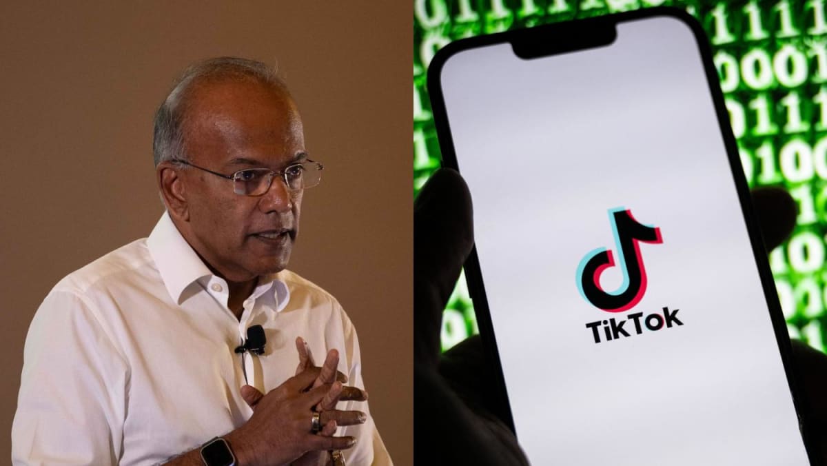 Shanmugam seeks court order requiring TikTok to name users who posted 'false, baseless' claims ...