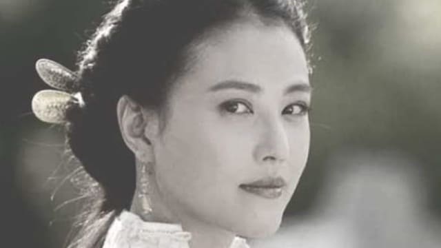 从落选港姐变一线当家花旦 周海媚拥有不寻常血统 - vibes by 8world