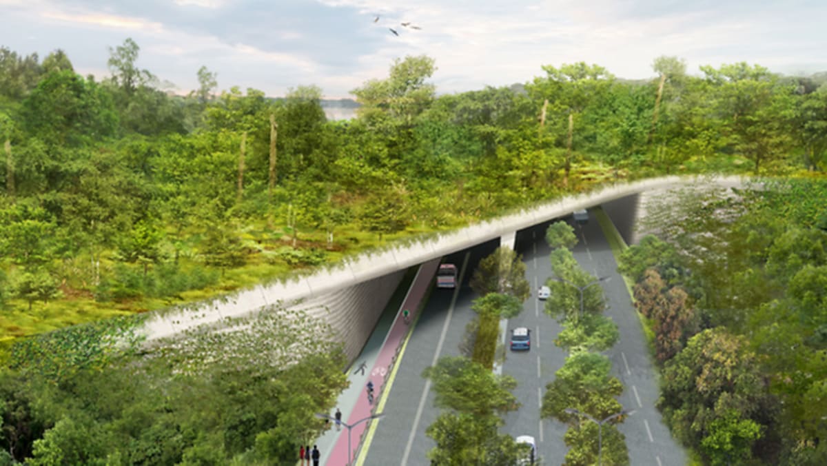 Eco-bridge at Mandai to be ready by 2019 - TODAY