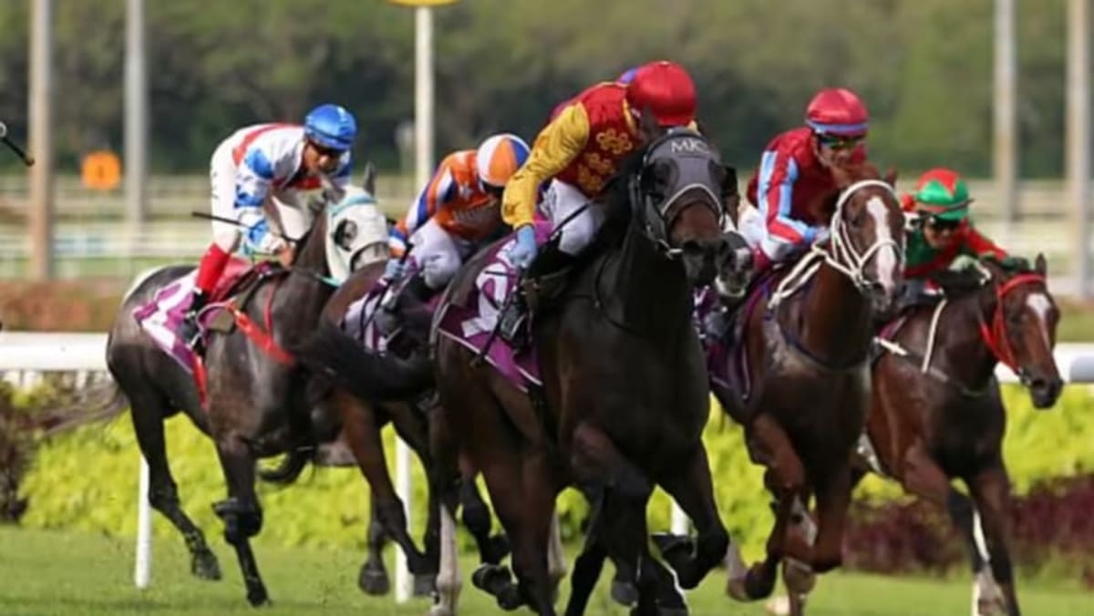 சிங்கப்பூர் Turf Club - ஆகஸ்ட் தொடக்கத்திலேயே வேறு இடங்களுக்கு ...