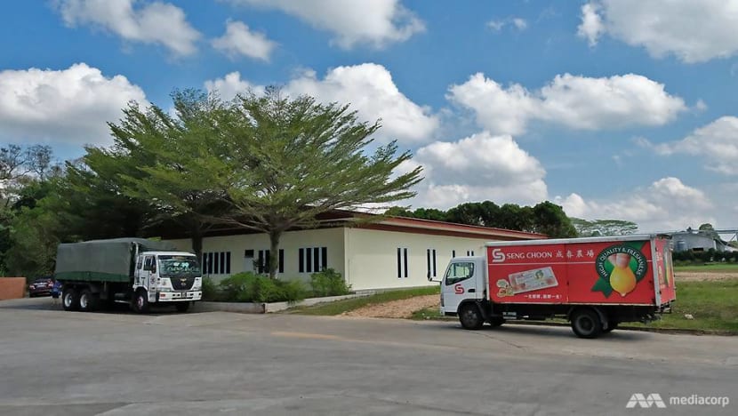 Inside the high-tech operations of Singapore’s largest egg farm - CNA