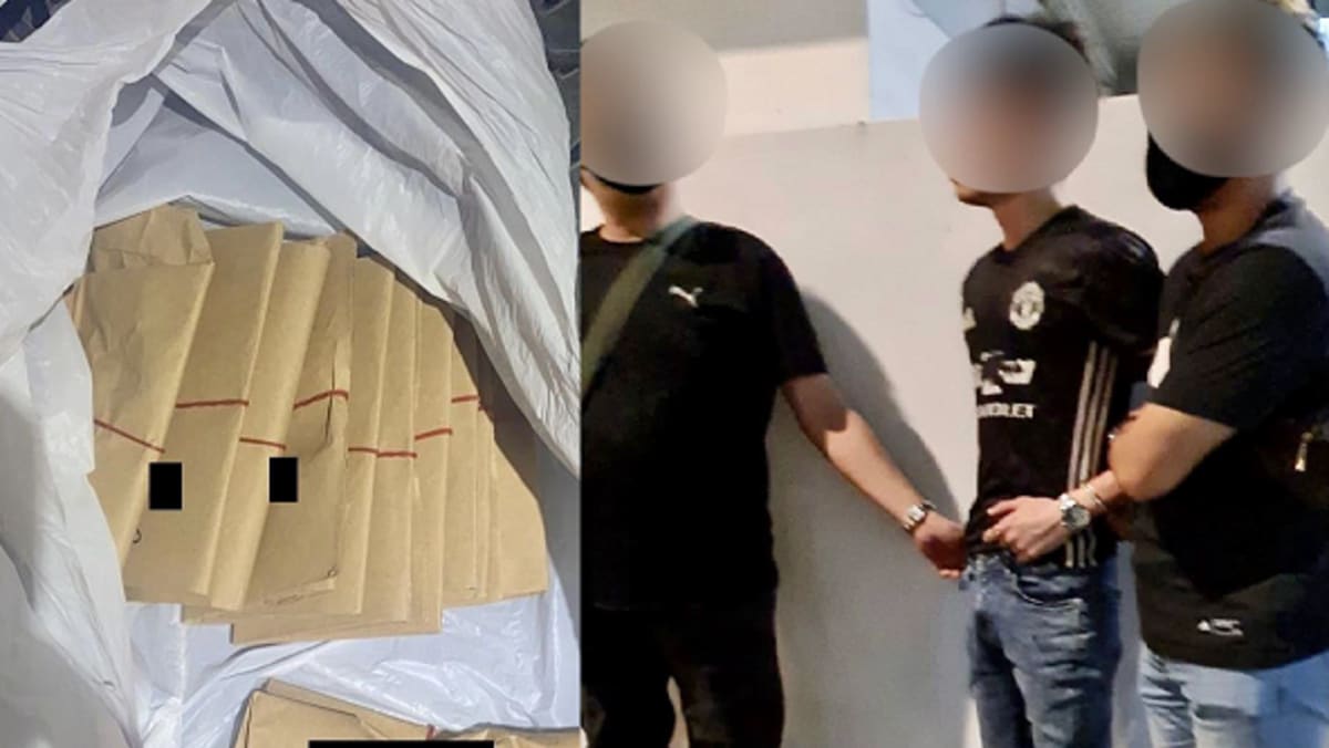 CNB arrests 12, seizes drugs worth more than S$152,000 - CNA