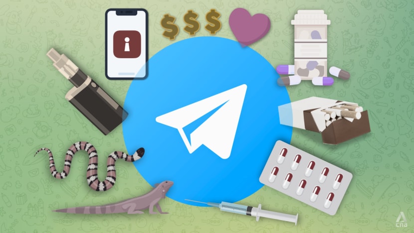 IN FOCUS: We reported 20 illegal groups to Telegram. Most were still ...