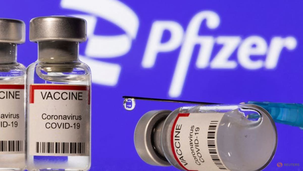 Pfizer expects to price COVID-19 vaccine at US$110-US$130 per dose - CNA