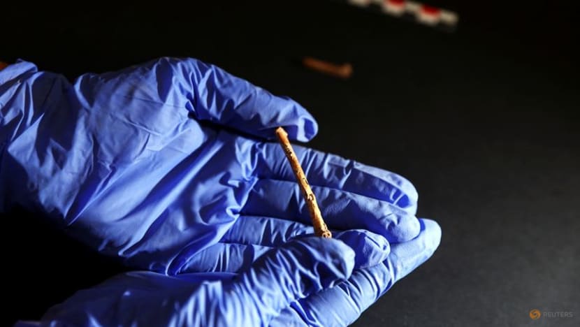 Prehistoric bird-wing flutes music to the ears of archaeologists in ...