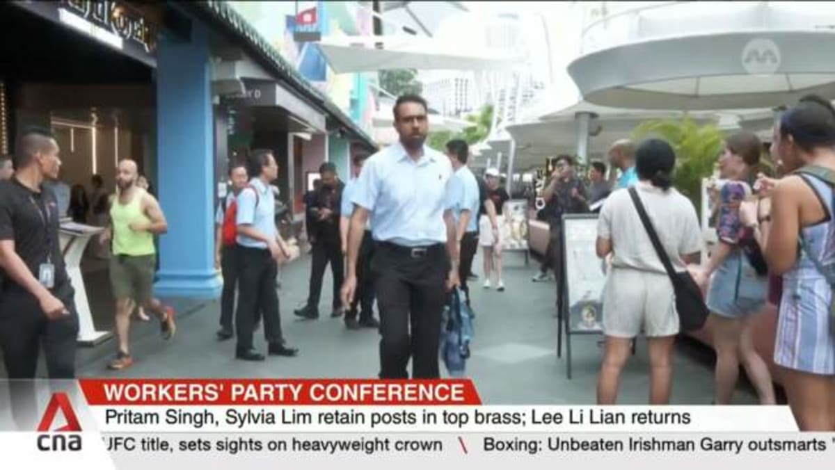 Pritam Singh Sylvia Lim Retain Posts In Top Brass Lee Li Lian Returns