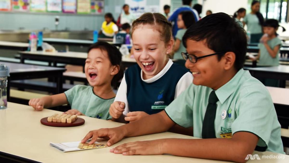 Friends from other lands: The unique challenges of international ...