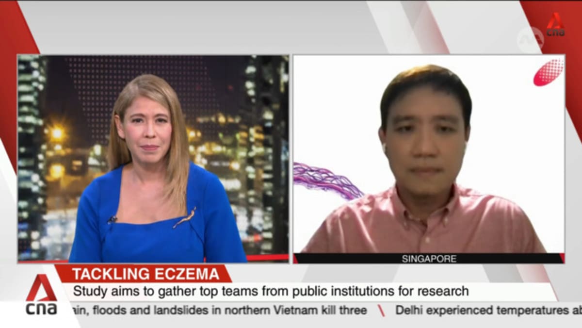 Dr Yew Yik Weng on $10m grant for local project that looks into eczema causes, therapies - CNA