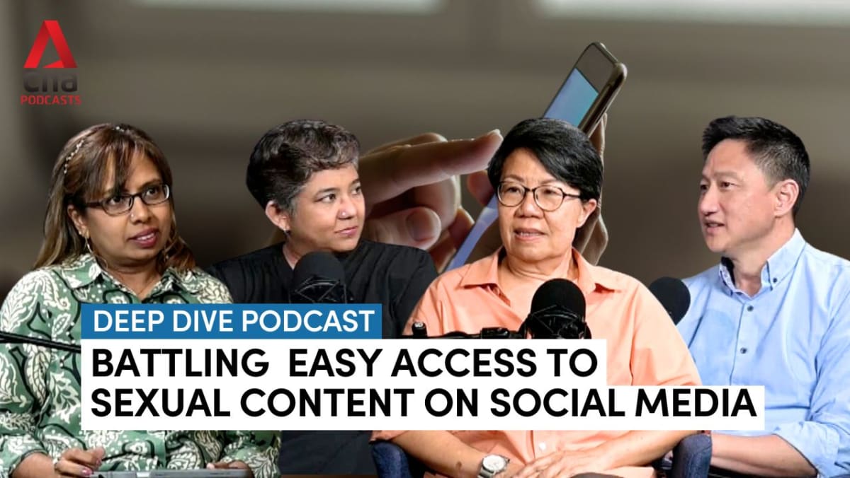 Deep Dive - Battling against easy access to sexual content on social ...