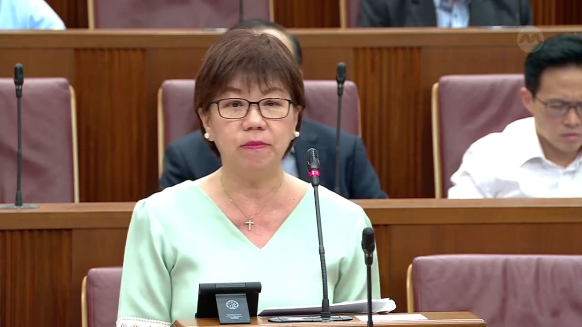 Committee of Supply 2024 debate, Day 2: Denise Phua on importance of NS ...