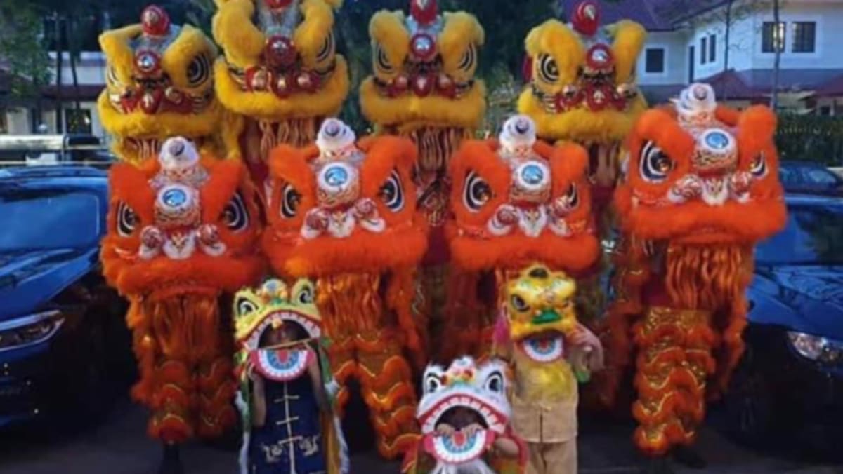 சிங்க நடனம்- சீனப் புத்தாண்டில் அதன் மகத்துவம் - Seithi Mediacorp