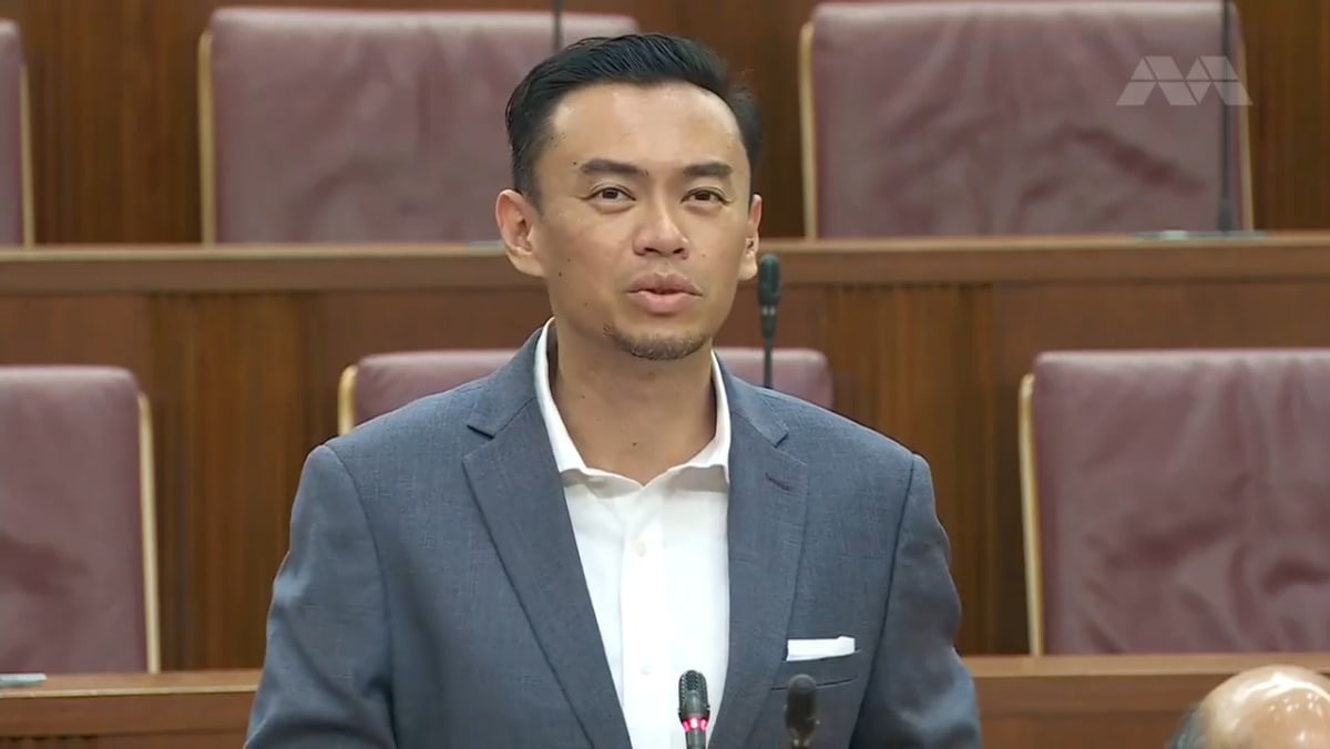 Committee of Supply 2022 debate, Day 4: Wan Rizal on support for ...