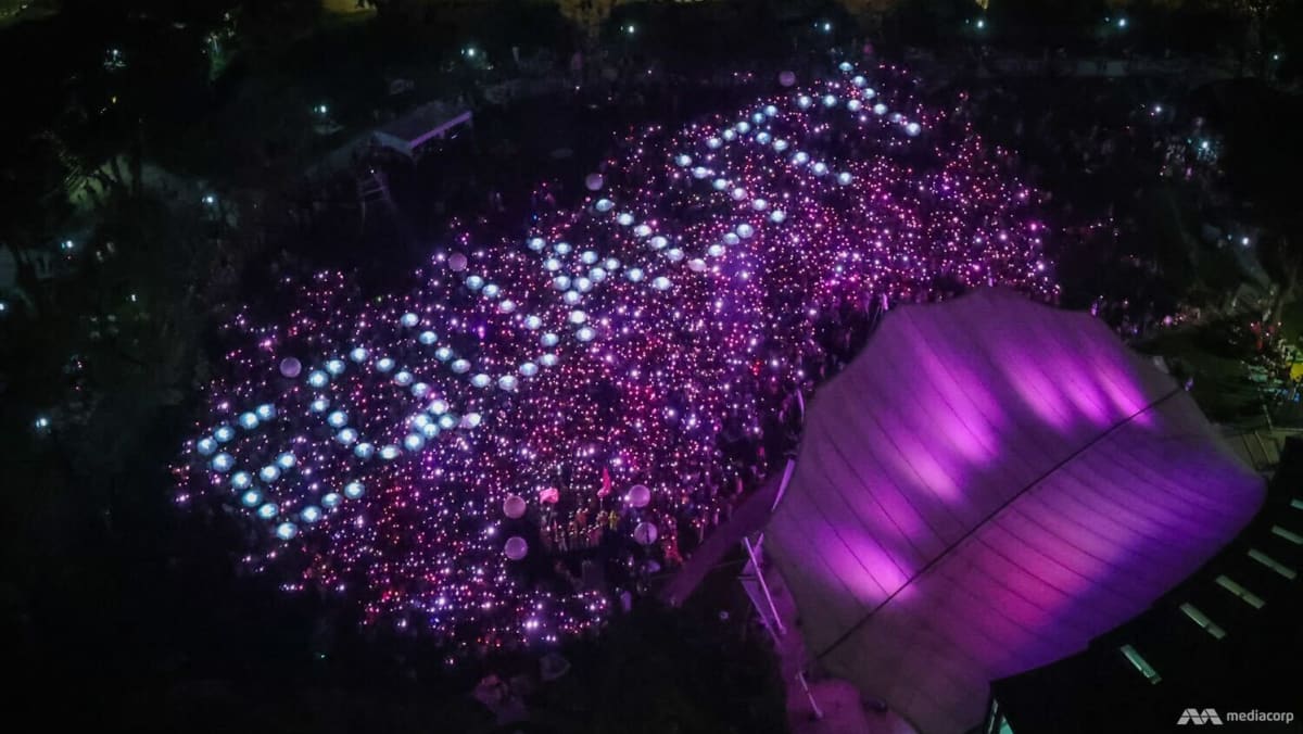 Politicians show up for Pink Dot despite scorecard grading their ...