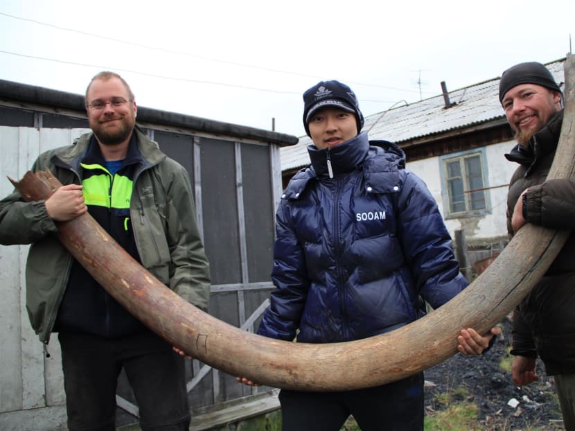 Gallery: Reviving extinct mammoth ‘still possible in the near future ...
