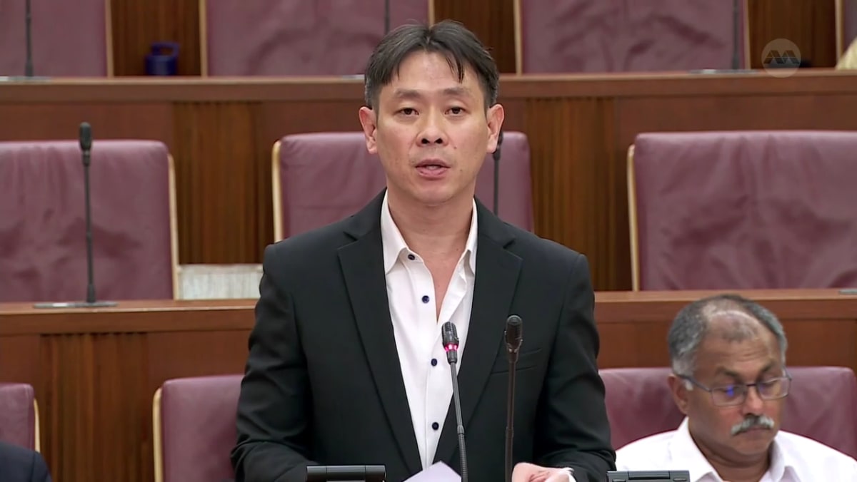 Louis Ng on Significant Investments Review Bill - CNA