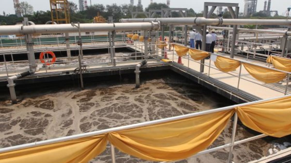 Tuas water plant: Ecosystem monitoring urged - TODAY