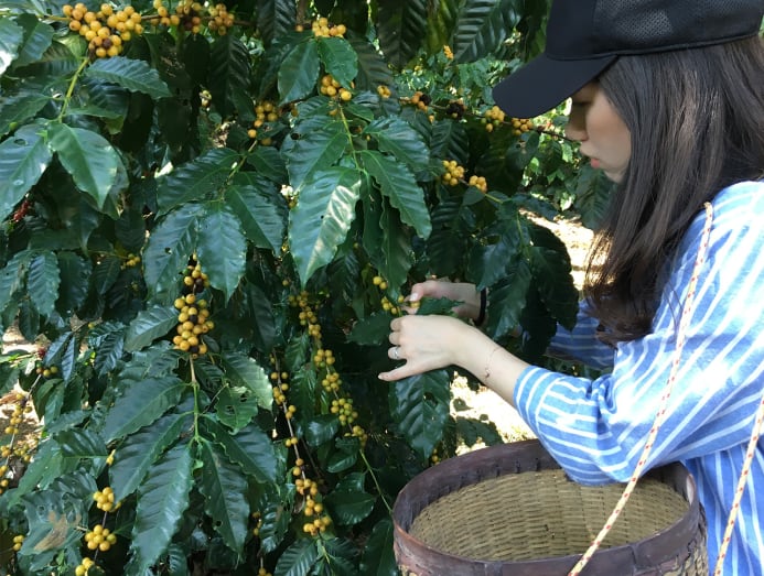 She took her grandfather’s coffee business in Thailand to the next ...