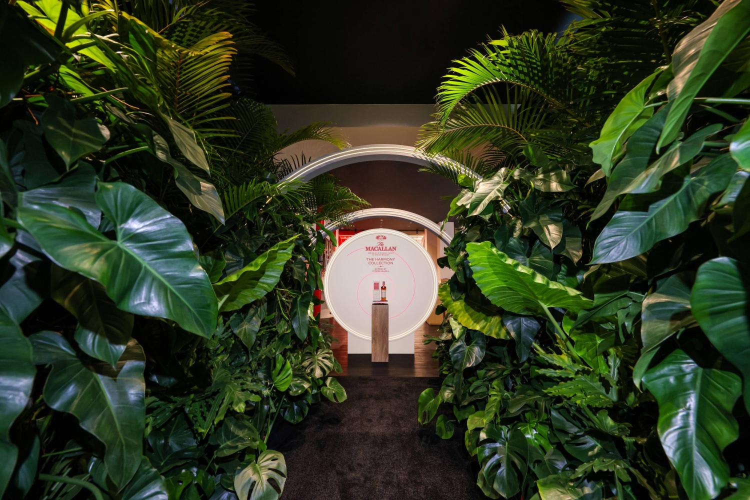 The Macallan wants you to drink its new whiskies with coffee - CNA Luxury