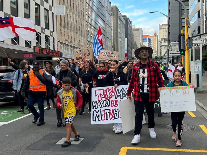 New Zealanders gather across country to protest new policies - TODAY