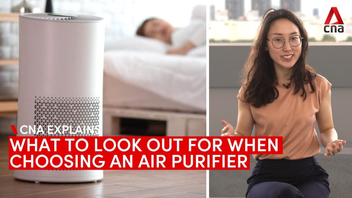 CNA Explains: What to look out for when choosing an air purifier ...