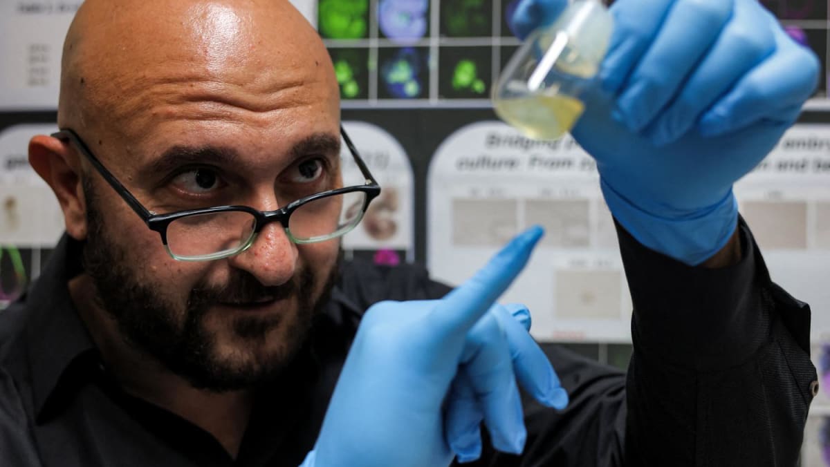 Lab-grown human 'embryos' offer new research hope - TODAY