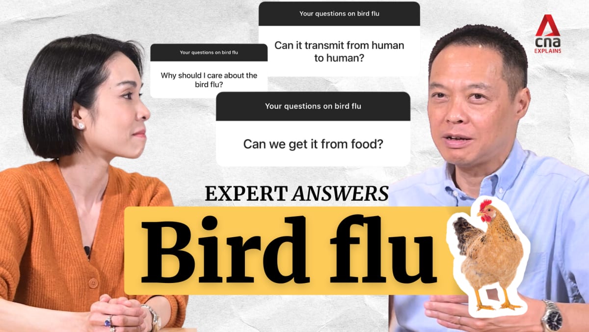 Bird flu: How concerned should you be about human infection of H5N1? | Expert Answers | CNA ...