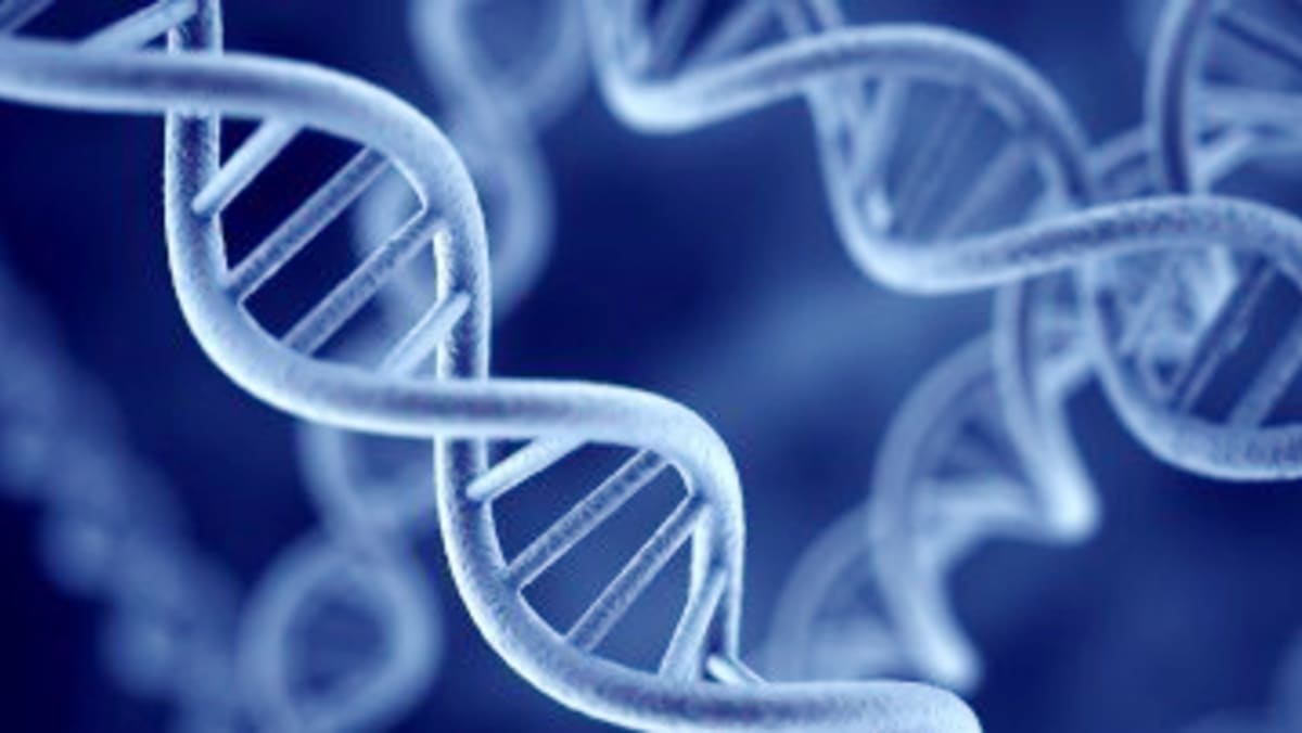 Cloning factory has technology to clone humans: Chinese scientist - TODAY