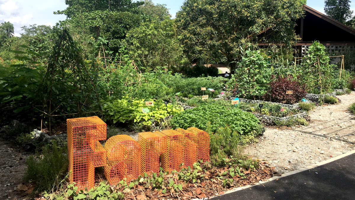 Jacob Ballas Children’s Garden now largest in Asia after S$12 million ...