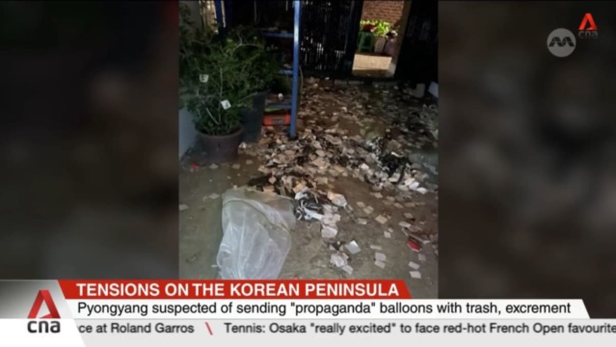 Propaganda warfare via balloons: Seoul accuses Pyongyang of sending ...