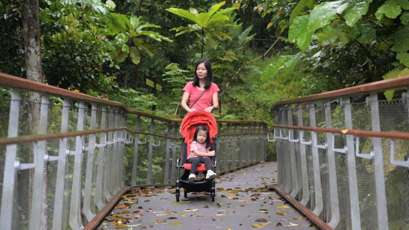 Revamped Rifle Range Nature Park opens with 7km trails, 31m lookout ...