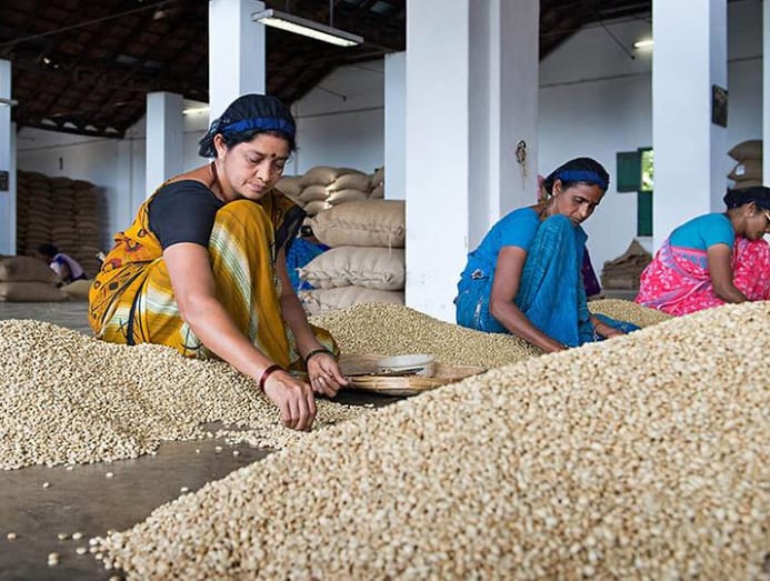 Have coffee, will travel: The coffee lover's guide to India, Nicaragua ...