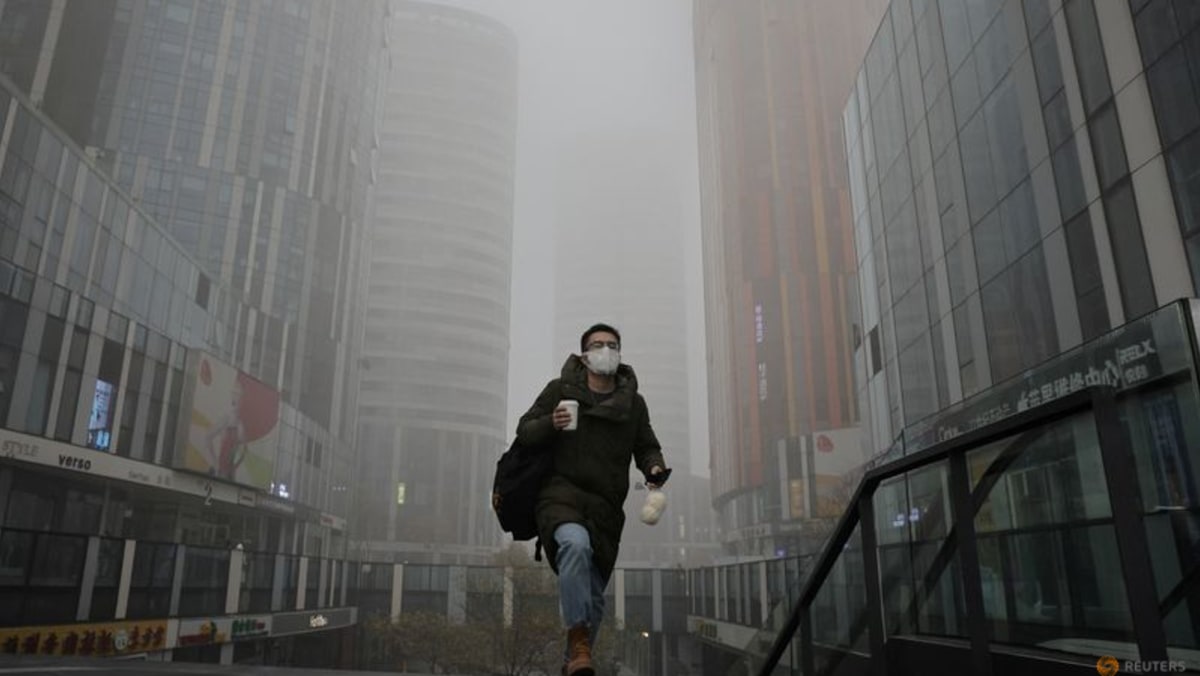 China must raise air quality standards as smog persists: Task force - CNA