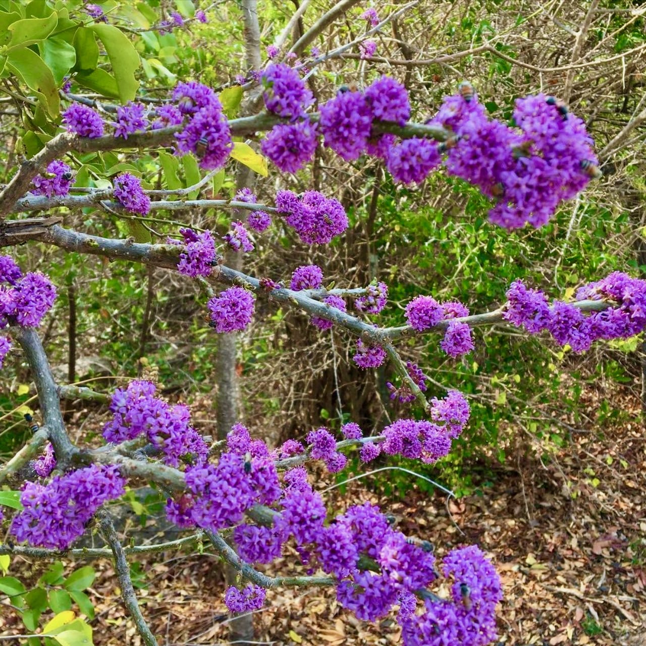 Finding inner peace in Vietnam's Nui Chua National Park and Amanoi resort - CNA Luxury