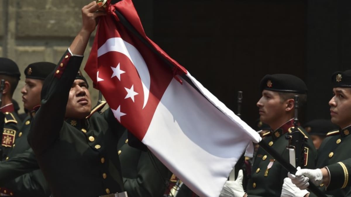 Teen arrested for allegedly vandalising S’pore flags - TODAY