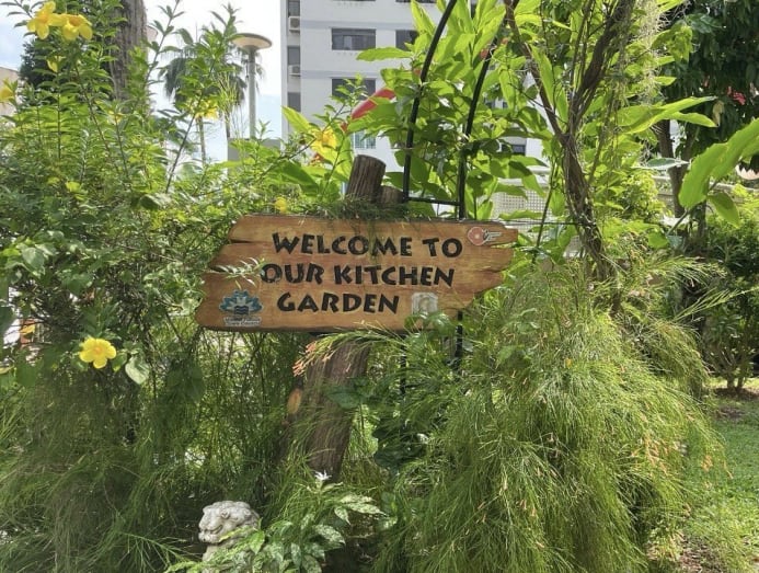 Meet the community gardeners of Marine Crescent Ville who nurture their ...