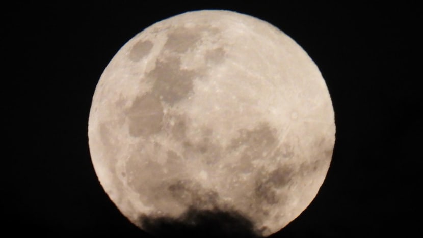In pictures: Worm Moon illuminates the night sky - CNA