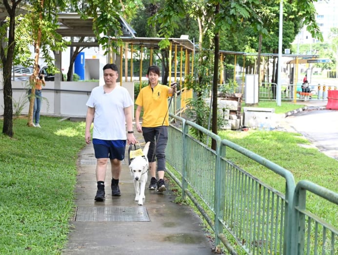 Still a pup but taking her human to places — as the first guide dog ...