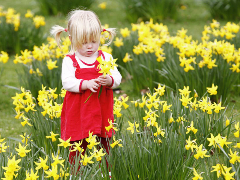 Changes in nature affect colour perception - TODAY