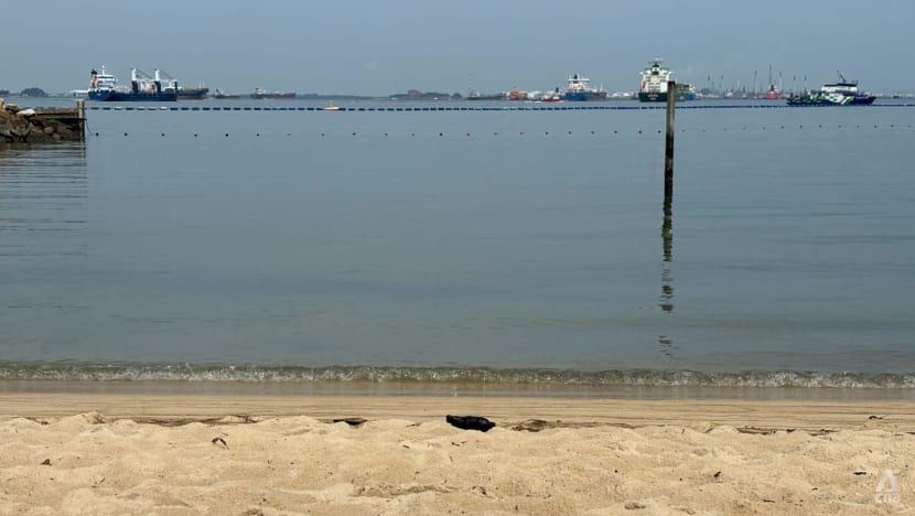 Oil spill clean-up resumes at Sentosa, East Coast Park - CNA