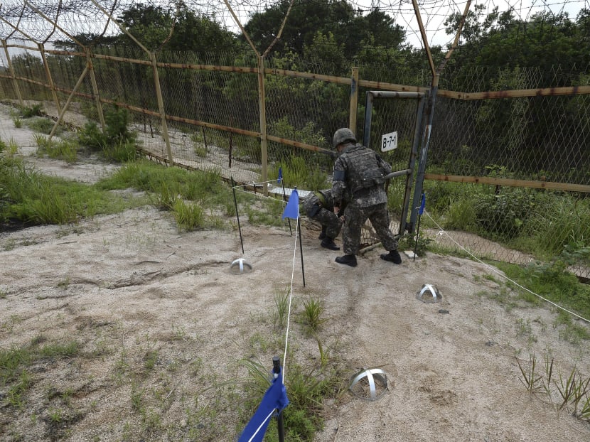 UN Command condemns mine-laying operation at the DMZ - TODAY