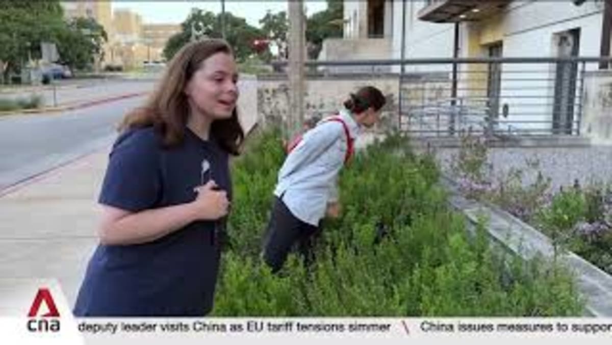 Light pollution across the US proving deadly to birds - CNA