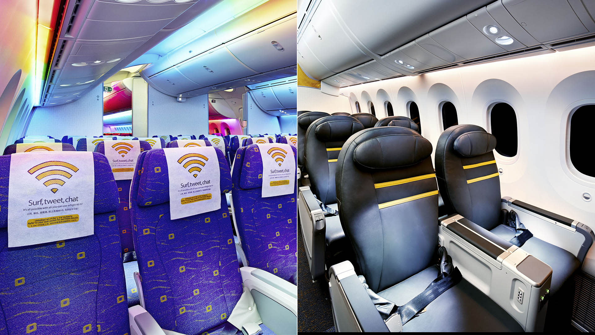 What It’s Like Flying On ScootPlus Vs Scoot-In-Silence — We Took A Trip ...