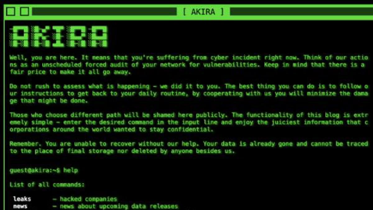 Companies advised not to pay if hit by Akira ransomware - CNA
