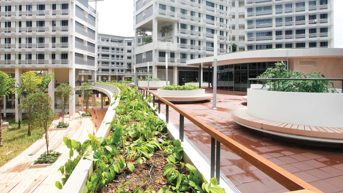 NTU students to get second bite at failed modules - TODAY